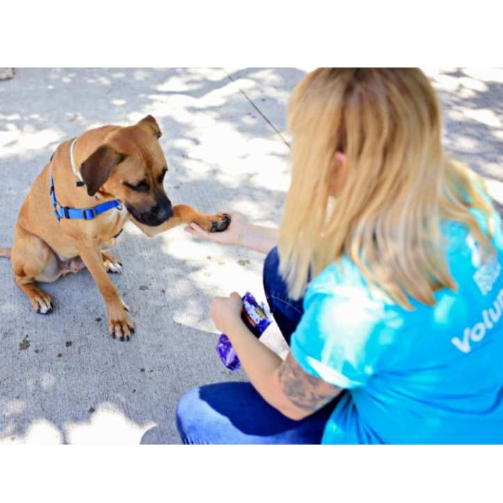 Humane Society of Utah - JustServe