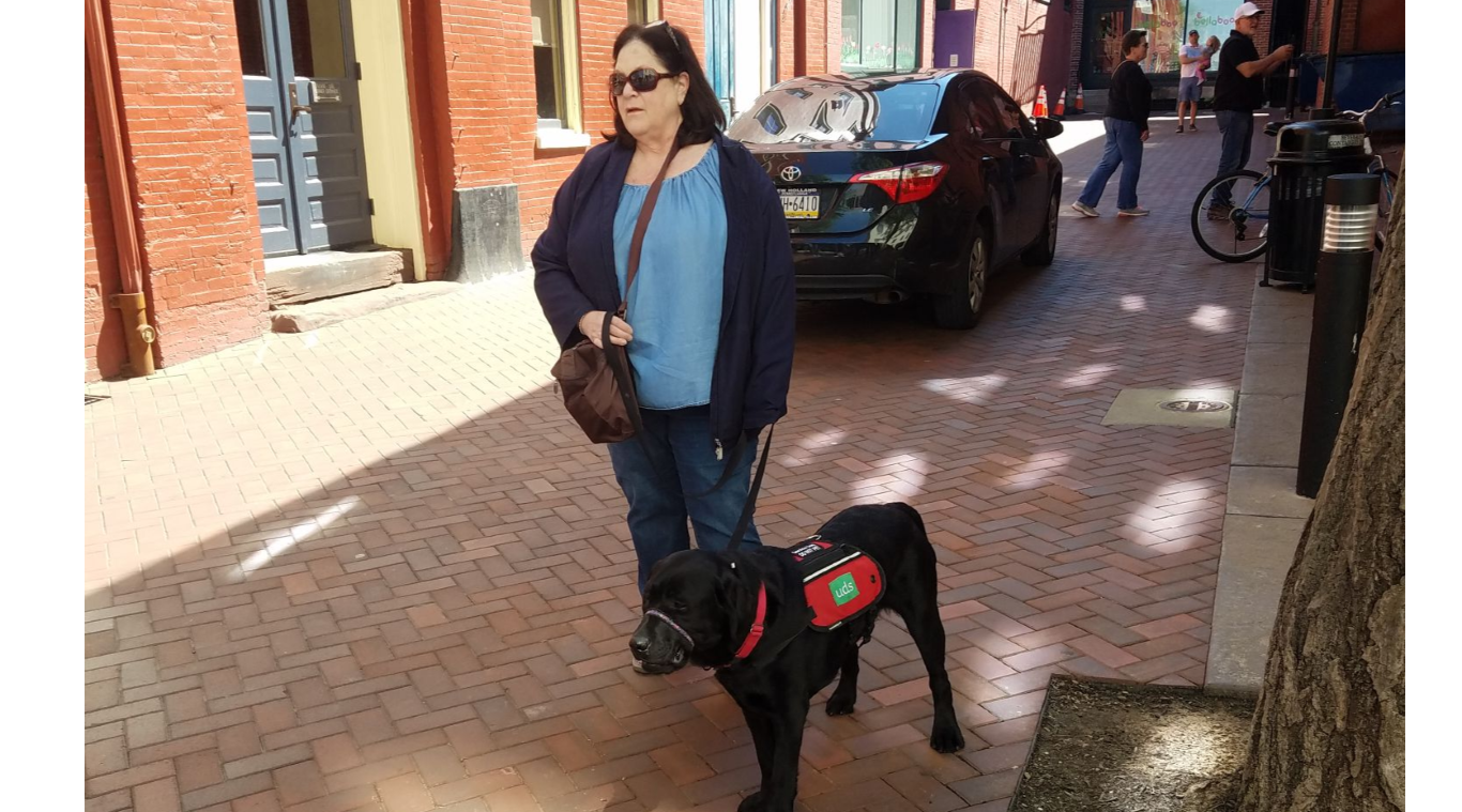 UDS Service Dogs Program - JustServe