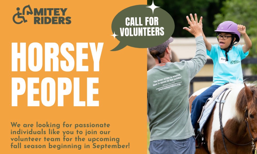 Therapeutic Horseback Riding - Weekly "Side Walkers" - JustServe