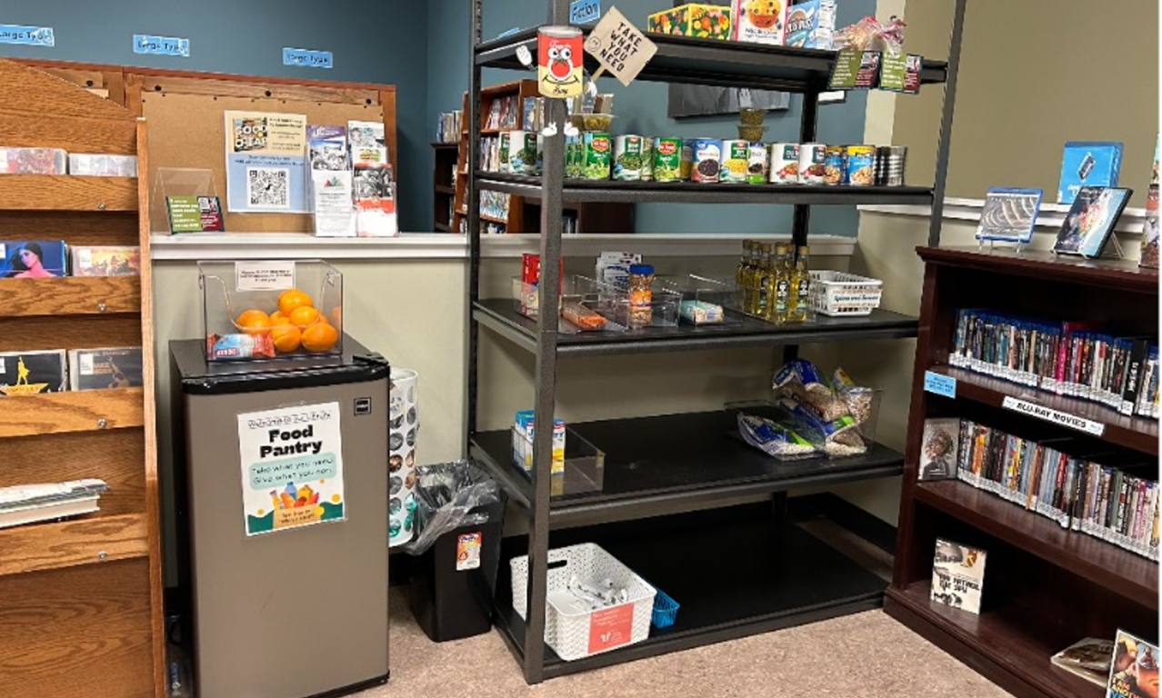 Lake Hazel Library Free Pantry - JustServe