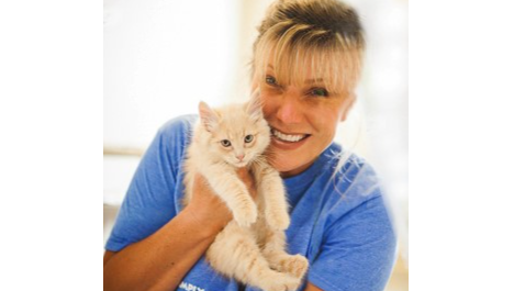 Simply Cats Adoption Center needs volunteers, Tuesday - JustServe
