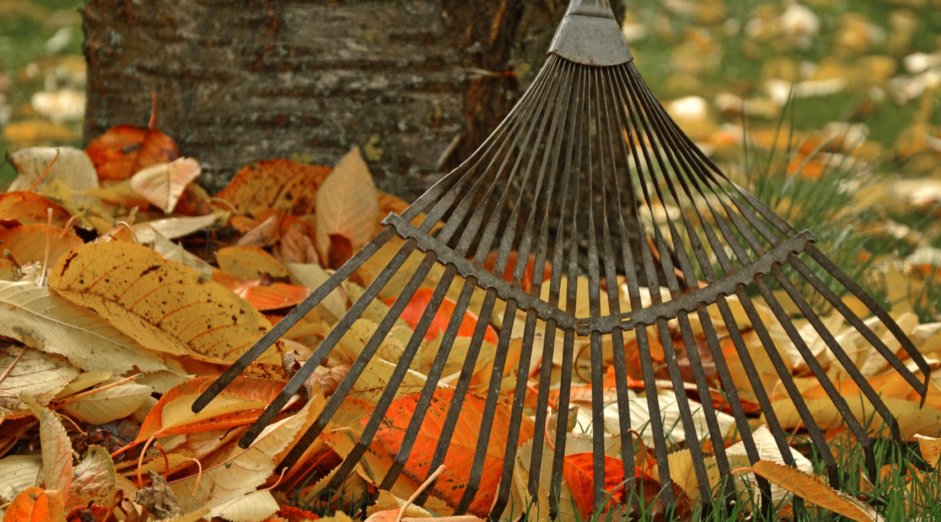 Rake Up Boise - JustServe