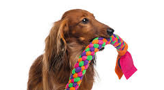 Paper Pusher In your Home - JustServe