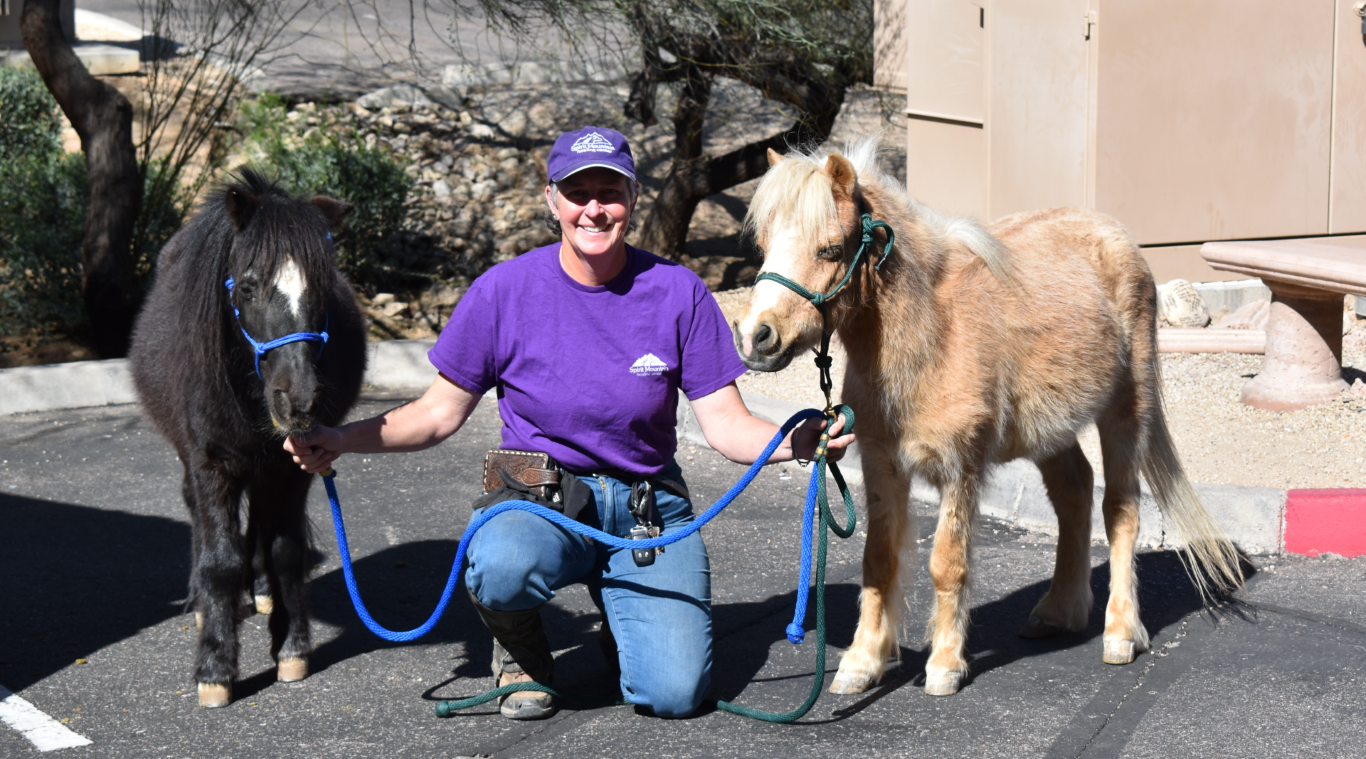 Spirit Mountain Healing Services Barn Help - JustServe