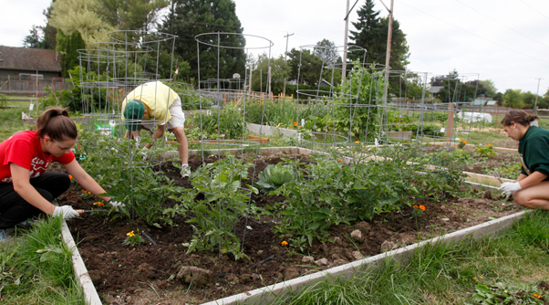 THPRD Community Garden Work Party at Bethany Lake Park - JustServe
