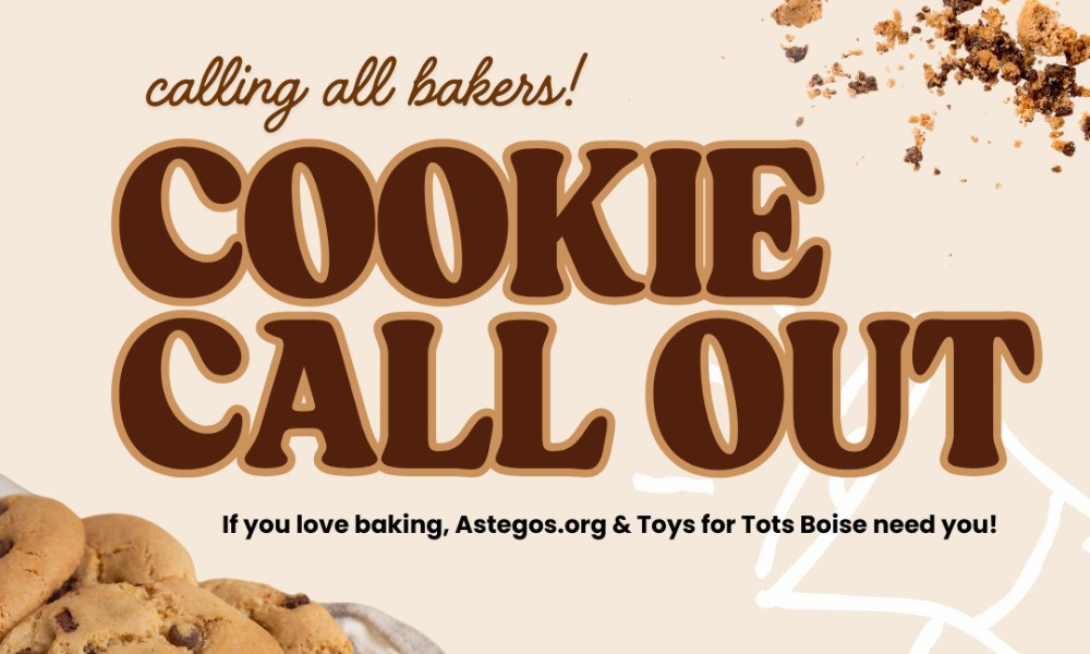 Cookies for Toys For Tots - JustServe