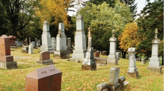 Take Photos of Gravestones at Walnut Grove Cemetery - JustServe