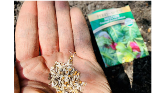 Grow and Donate Vegetables to Food Pantries (Grow a Row)