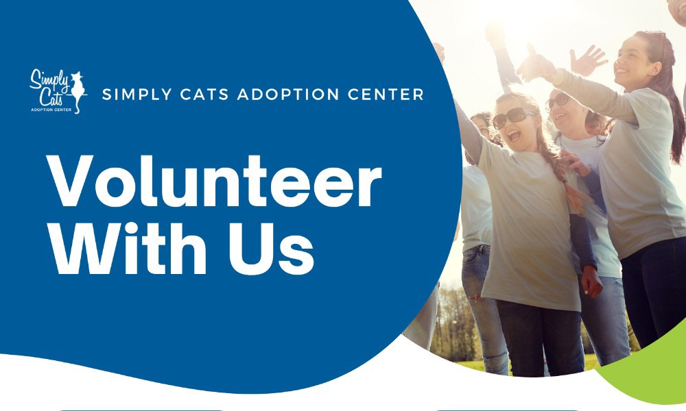 Simply Cats - JustServe