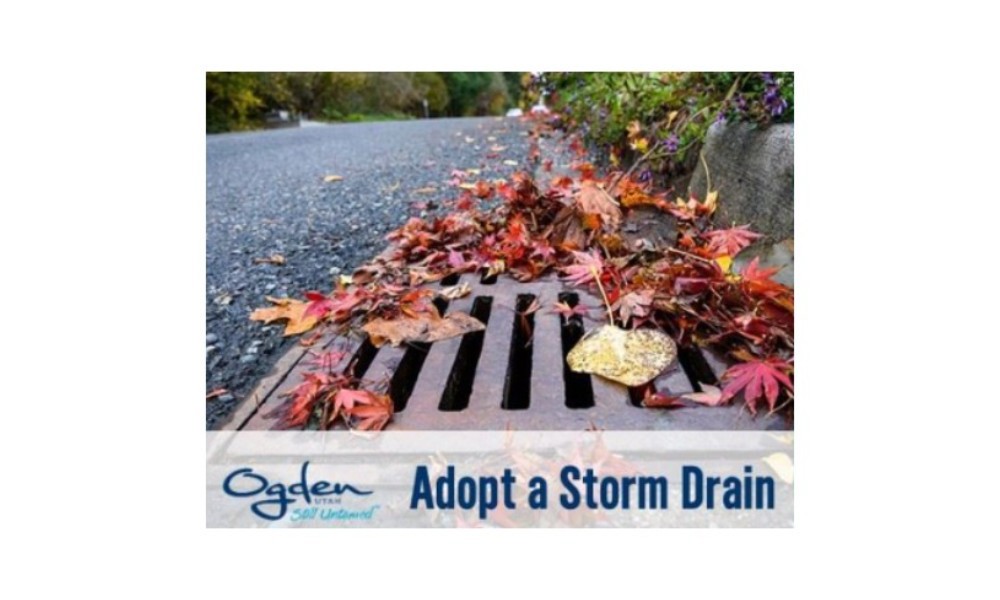 Adopt a Storm Drain - JustServe