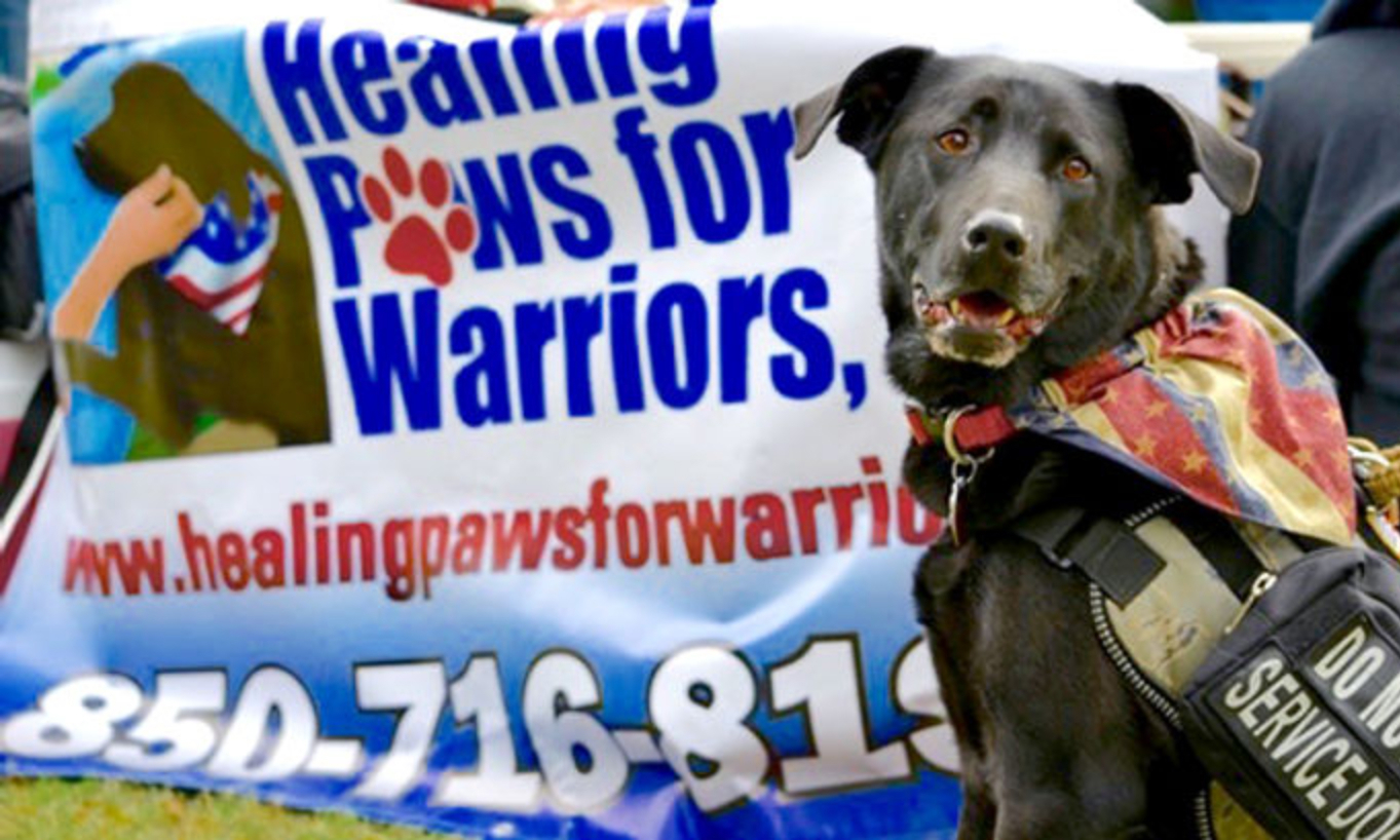 Foster A Dog - JustServe