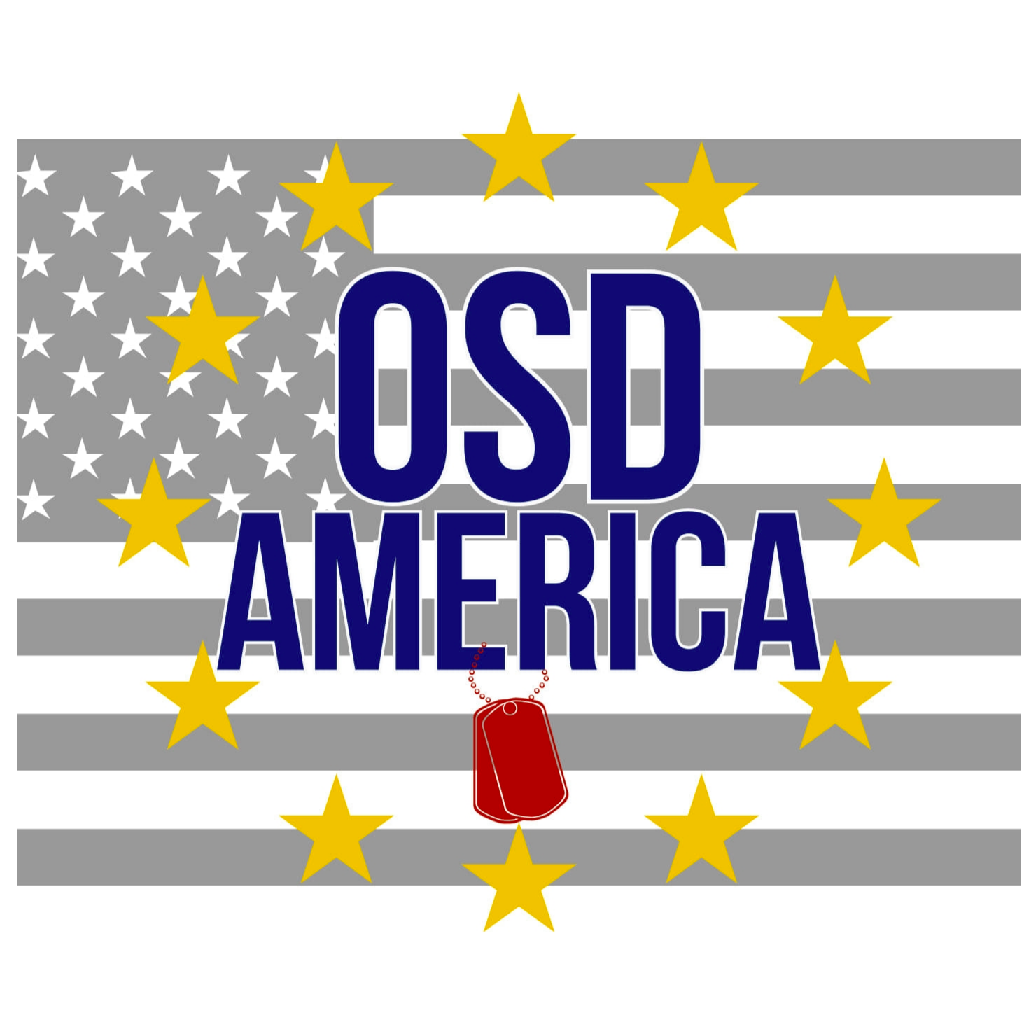 Operation Stand Down AMERICA - JustServe