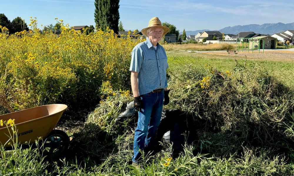 Firefly Park - Planting of Native Pollinator Habitat - JustServe