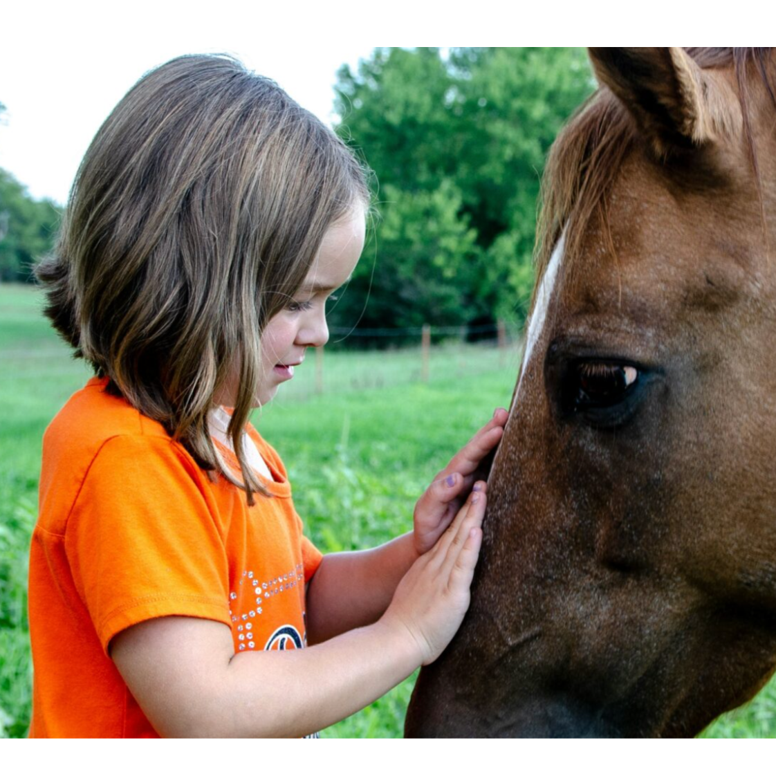 Dream Catchers of Cameron MO - JustServe